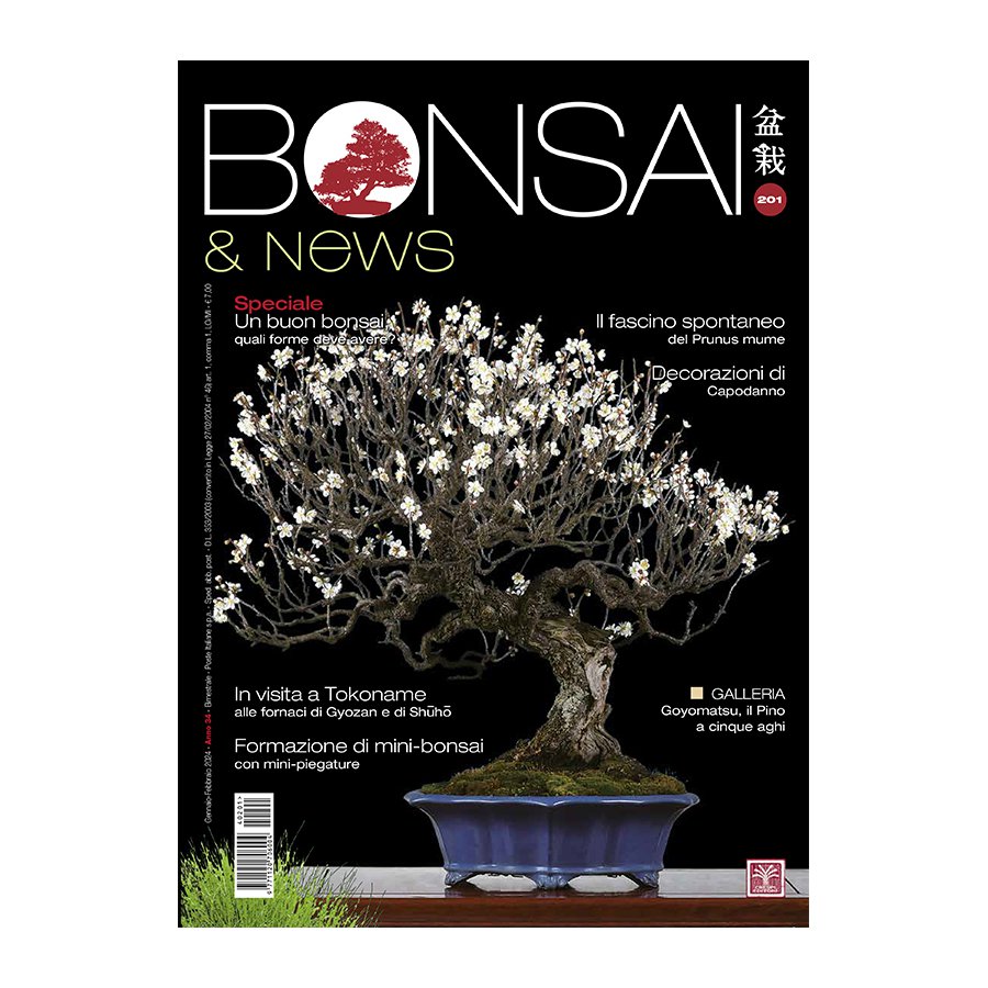 BONSAI & NEWS 201 - GENN-FEBB 2024 - Crespi Editori
